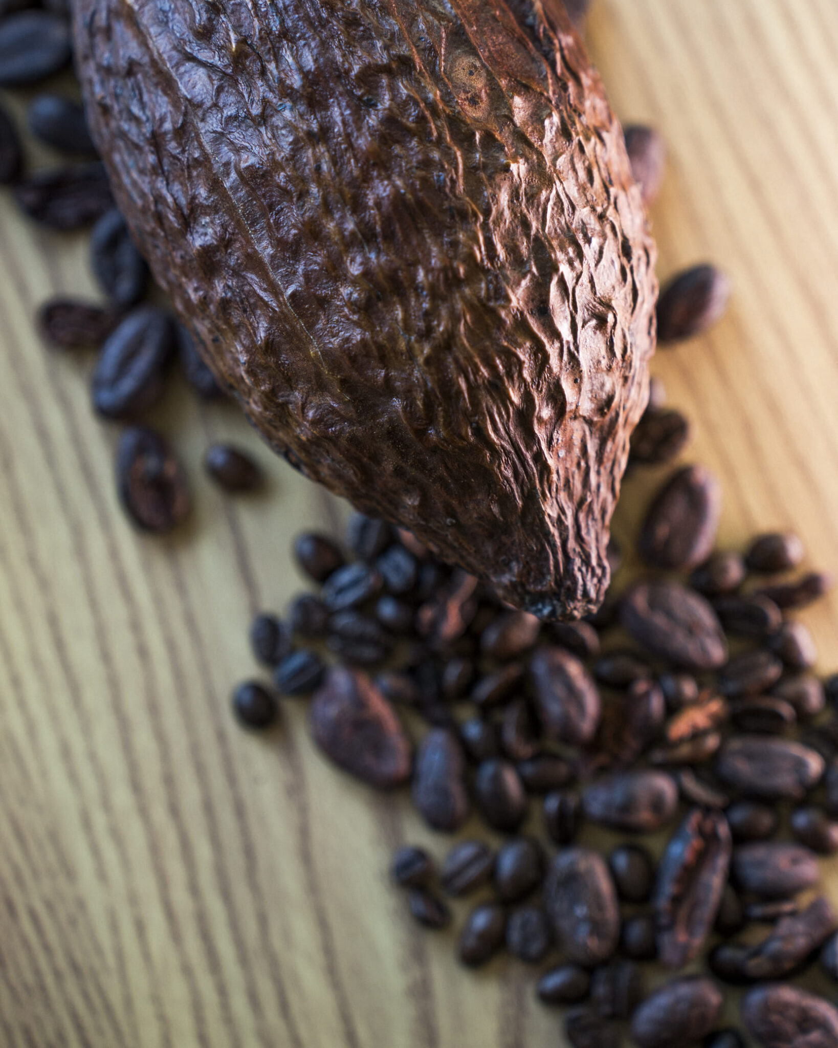 Handcrafted Luxury Chocolates Shop in Phuket, Thailand